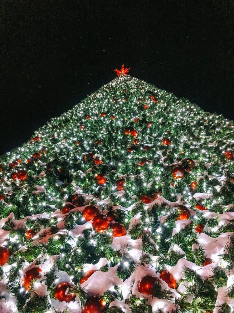 Holiday Lights at Lake Compounce in Connecticut – Travels With The Crew