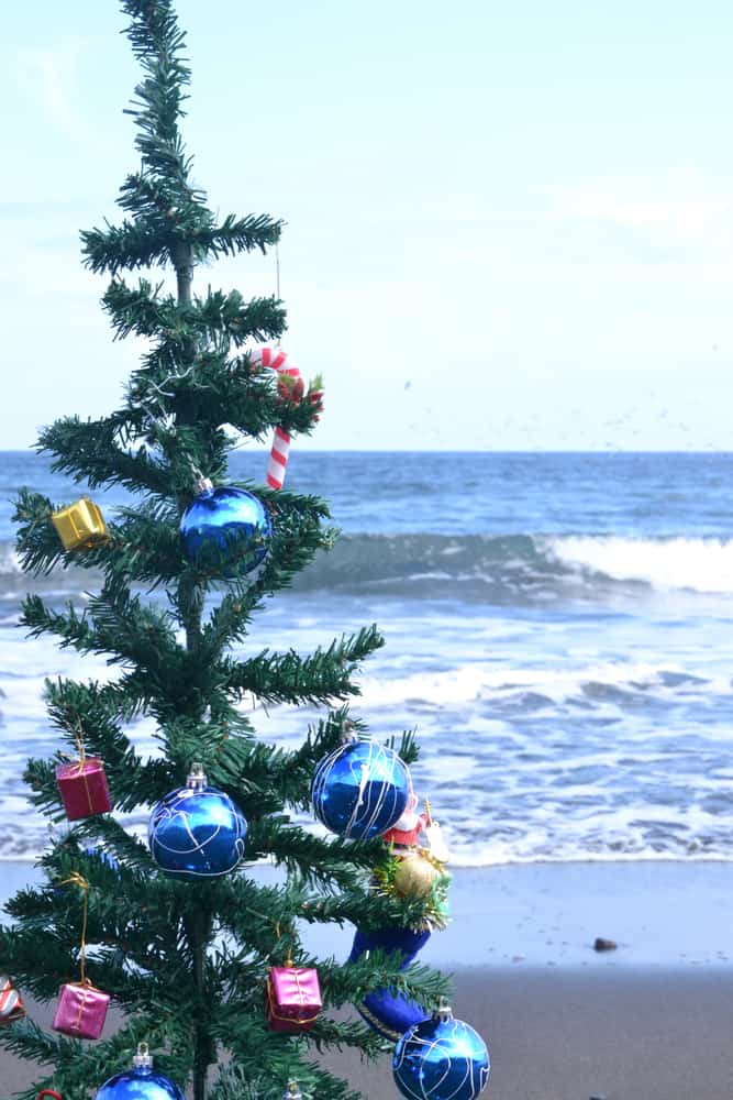 Christmas in New Zealand – Travels With The Crew