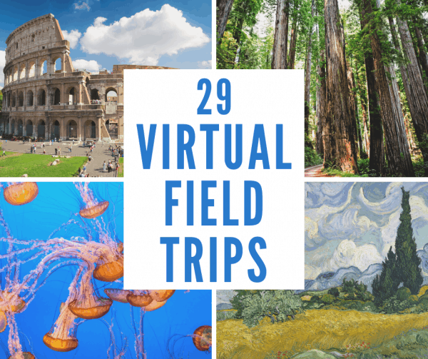29 + Virtual Field Trips for Kids – Travels With The Crew