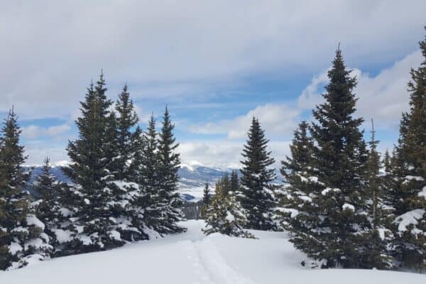 31 ways to celebrate Christmas in the USA – Travels With The Crew