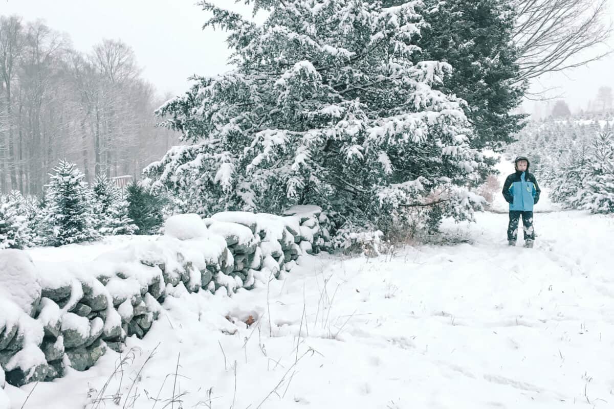 21 Christmas things to do in Connecticut – Travels With The Crew