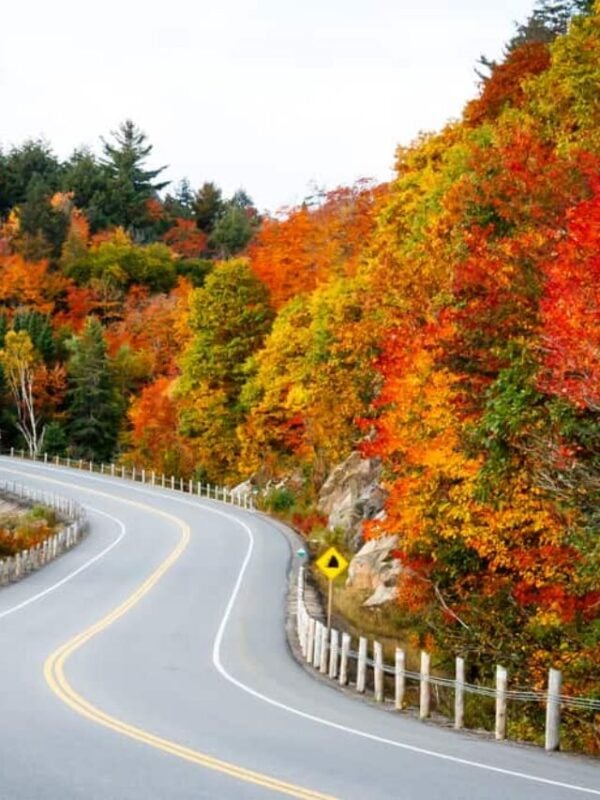 Vermont in the Fall: Best Places to Visit, Foliage Map & Things to Do