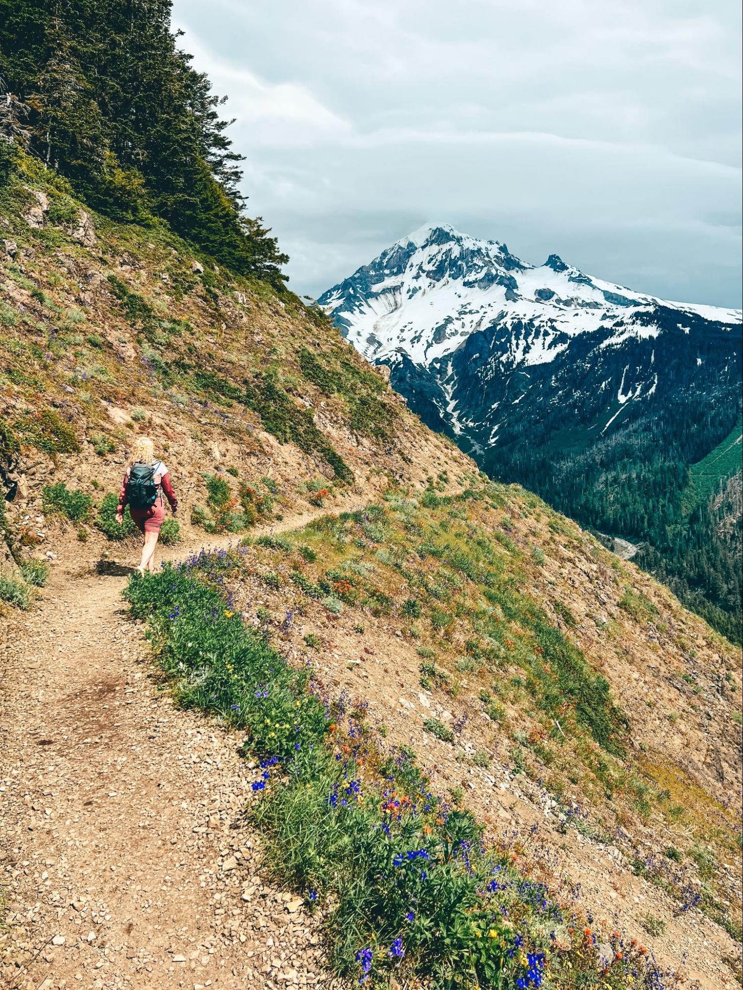 8 Best Day Trips from Portland, Oregon – Travels With The Crew