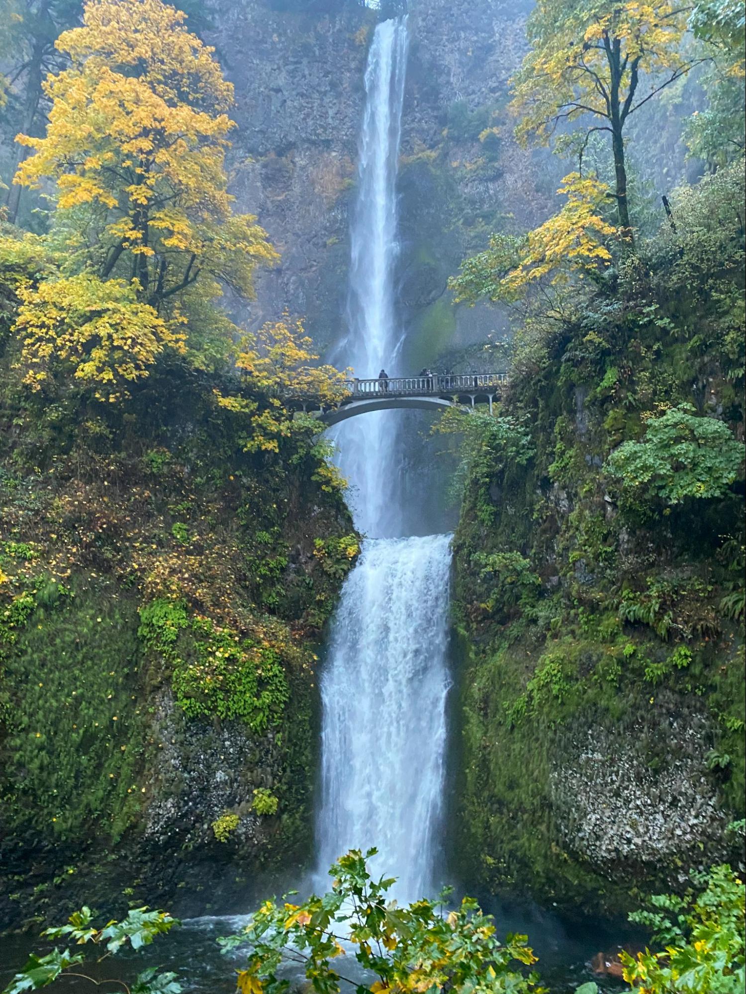 8 Best Day Trips from Portland, Oregon – Travels With The Crew