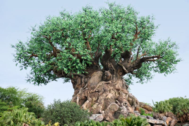Disney World Parks Guide: All 4 Parks Explained (Which One Is Best ...