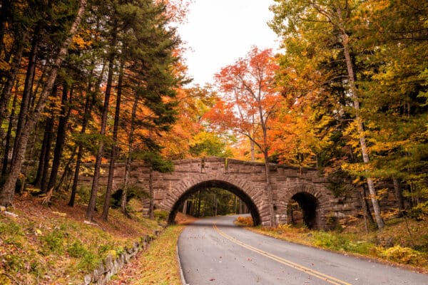 Vermont in the Fall: Best Places to Visit, Foliage Map & Things to Do
